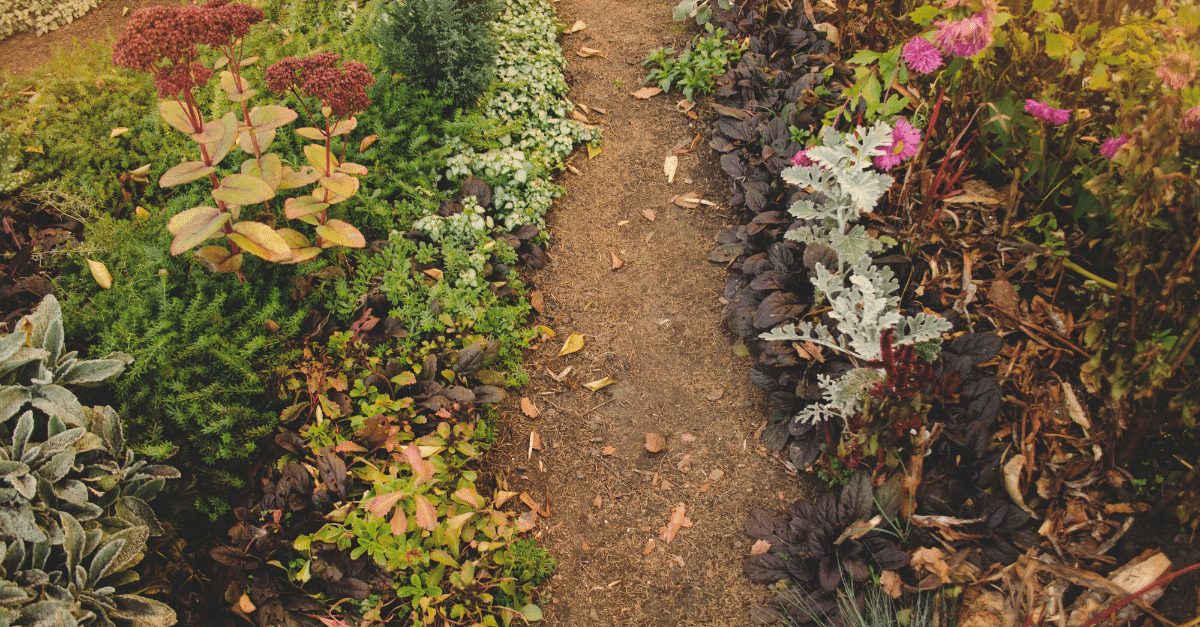 November Landscaping Tips | Gardens of Babylon Landscapes