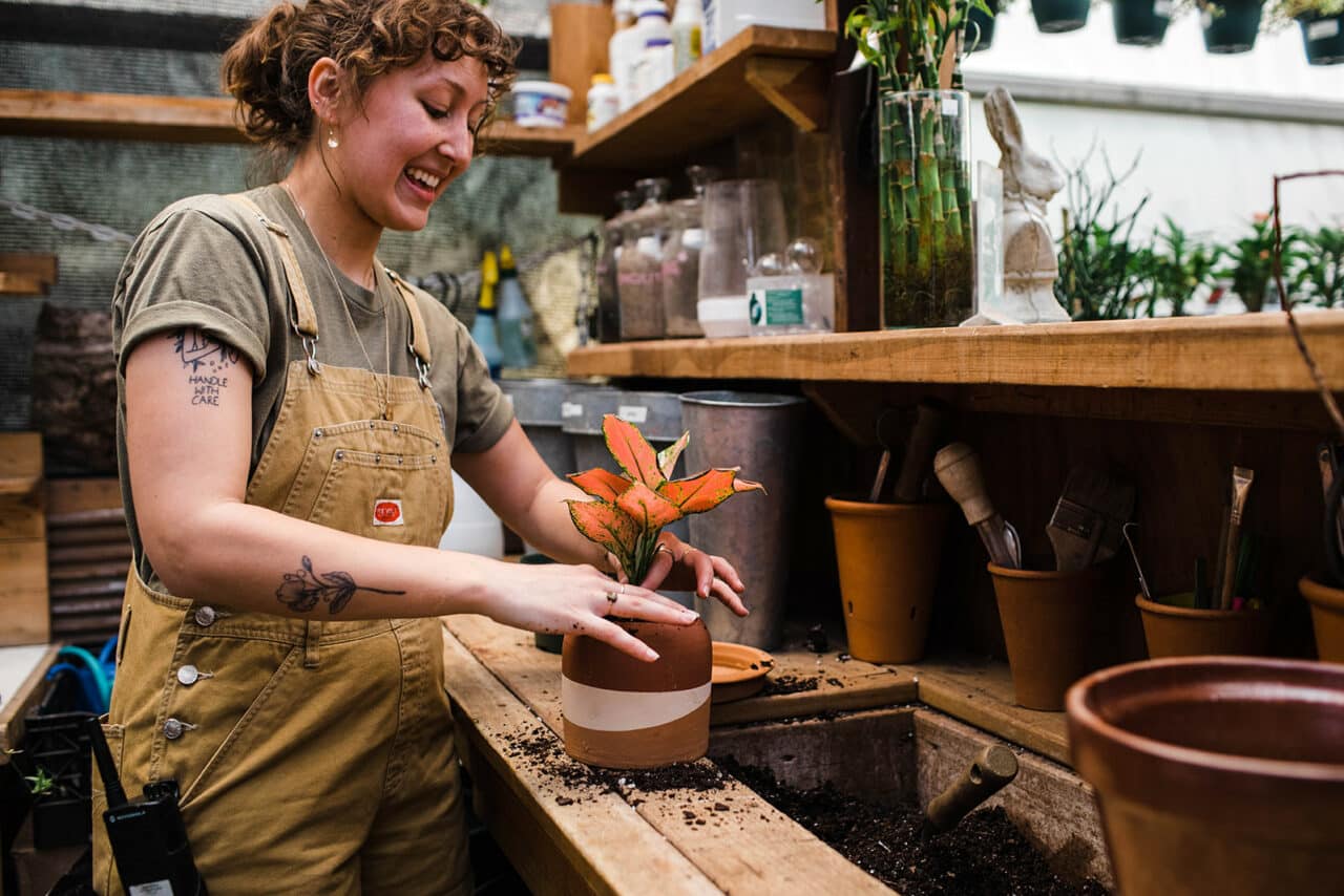 Babylon Careers - Join the team - Gardens of Babylon