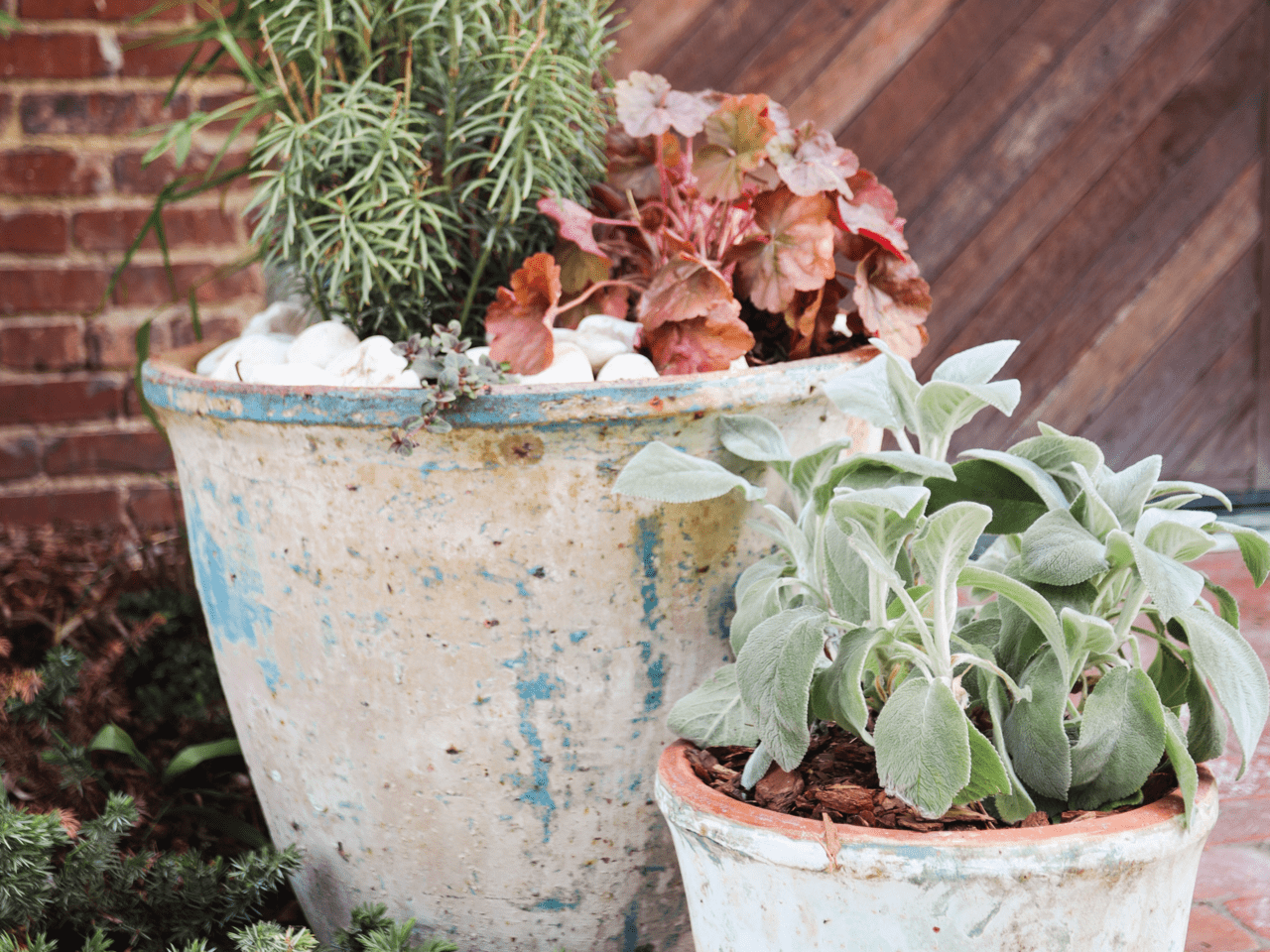 Container Design - Nashville - Gardens of Babylon Landscapes